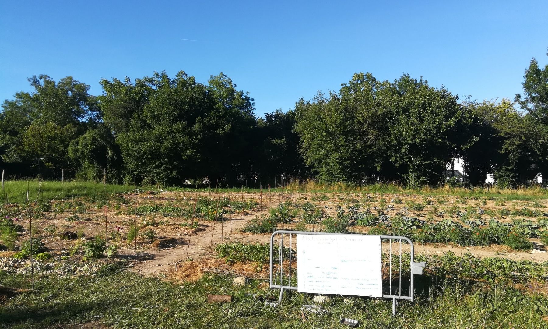 Développement durable - Mairie de Versonnex