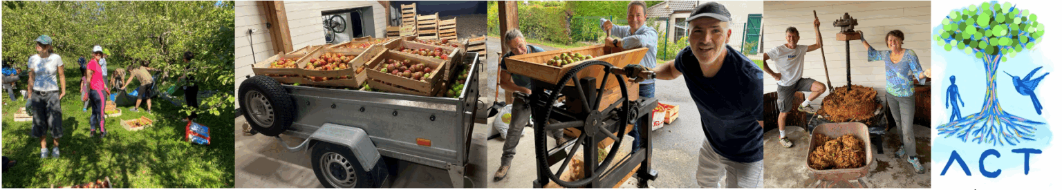 Accueil - Mairie de Versonnex